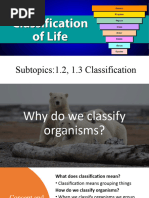 Classification Mnemonics | PDF