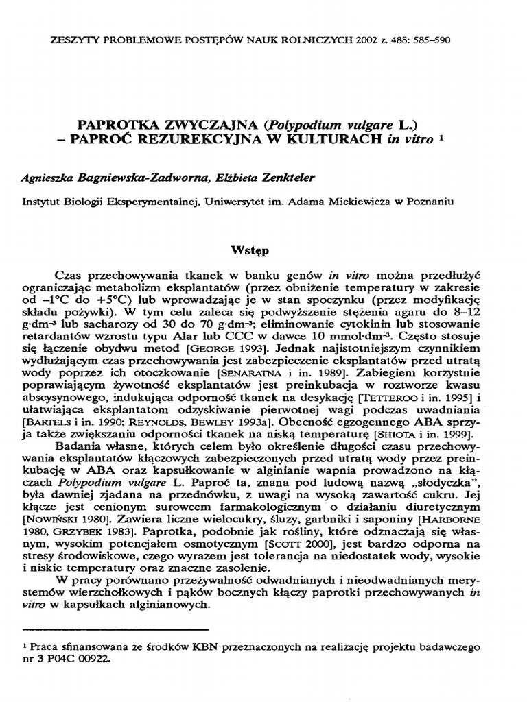 Paprotka Zwyczajna Polypodium Vulga | PDF