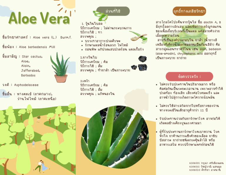 Aloe Vera | PDF