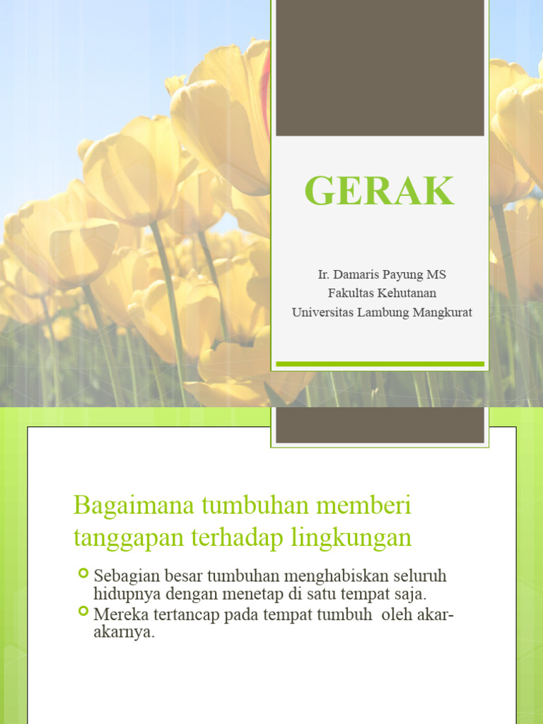 Gerak 2024 | PDF