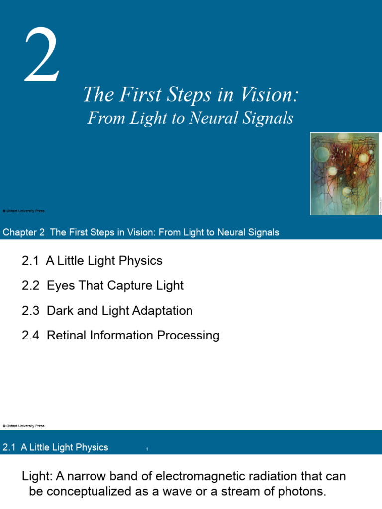 Sensation and Perception Lecture PPT - ch02 | PDF | Retina | Eye Sensation and Perception Lecture PPT - ch02 | PDF | Retina | Eye