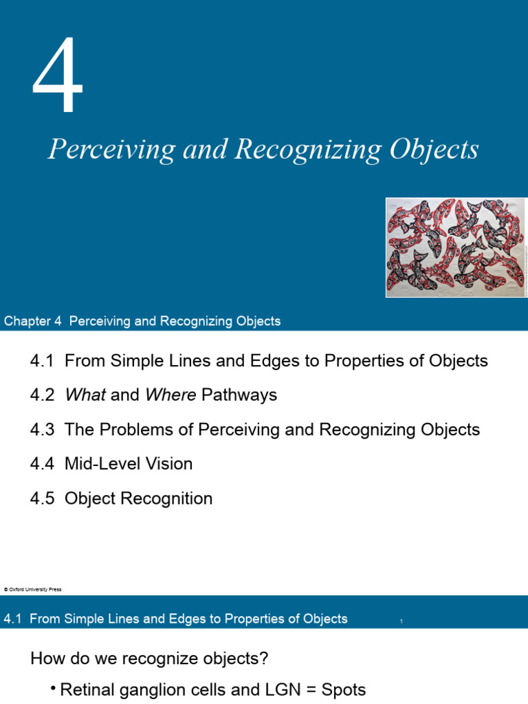 Sensation and Perception Lecture PPT - ch04 | PDF | Visual Cortex | Perception