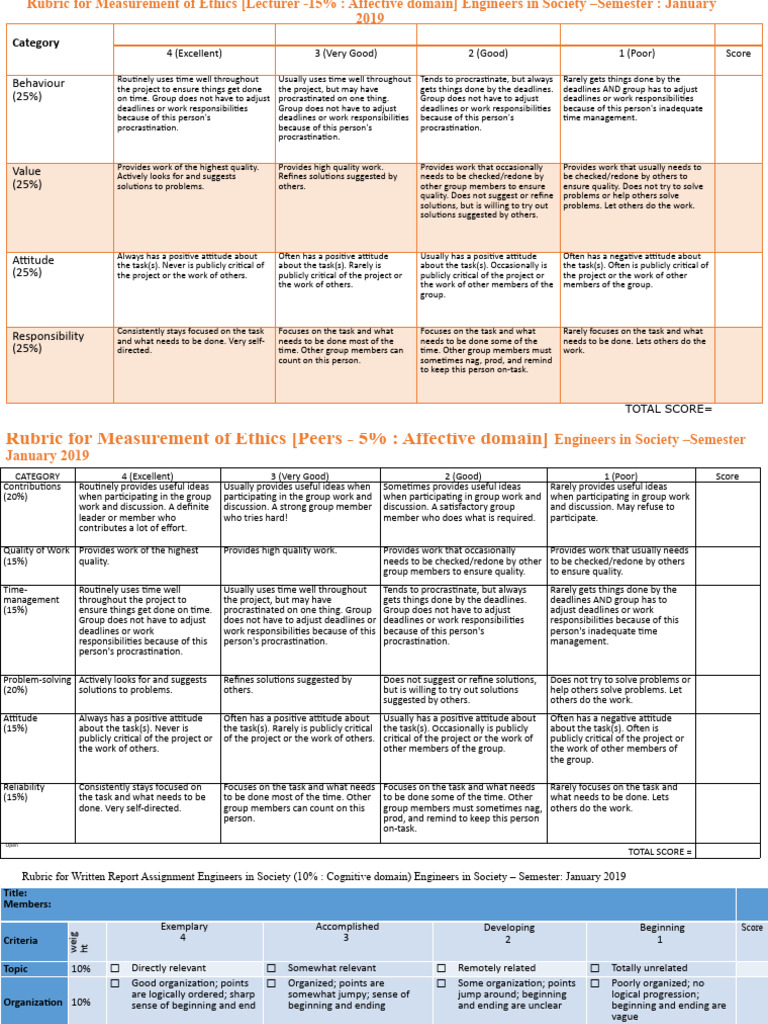 EIS Project Asignment - AssessmentRubrics | PDF | Professional Skills | Procrastination