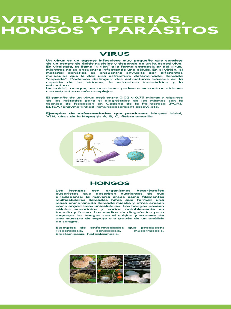 Virus, Bacterias, Hongos y Parásitos | PDF | Virus | Hongo