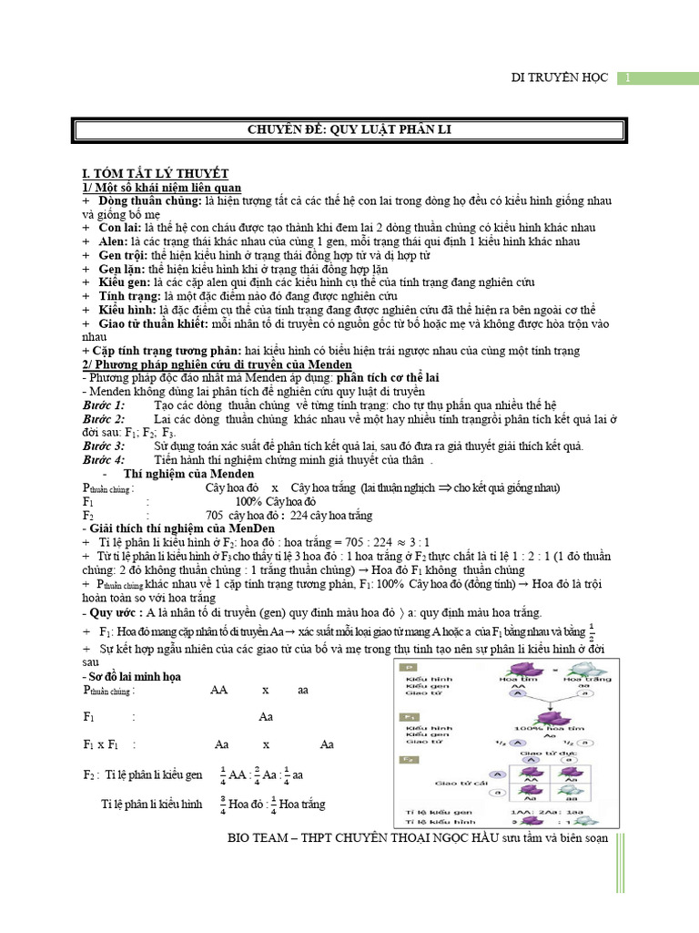 LÝ THUYẾT BÀI 8 9 | PDF