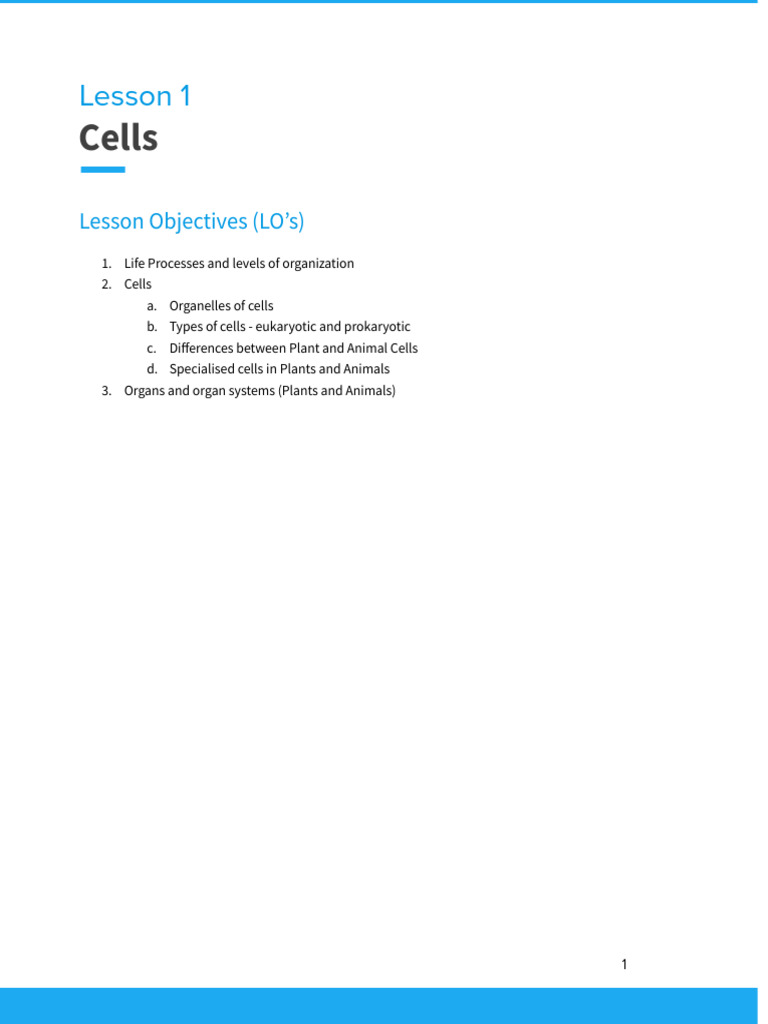 G6_Cells | PDF | Muscle | Cell (Biology)