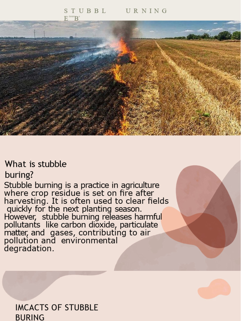 Stubble Burning | PDF | Science & Mathematics