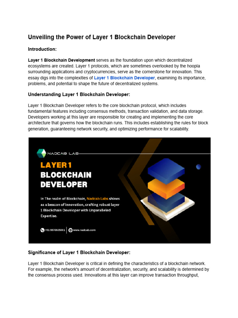Layer 1 Blockchain Developer | PDF | Computer Network | Scalability