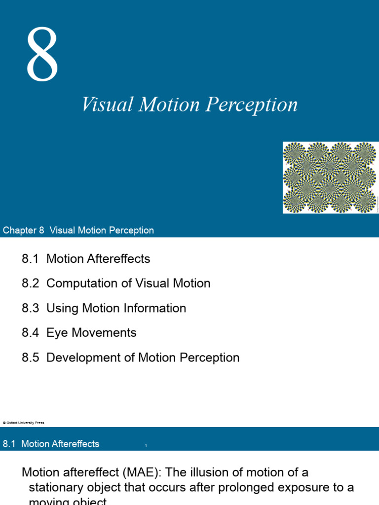 Visual Motion Perception Guide | PDF | Visual Cortex | Eye