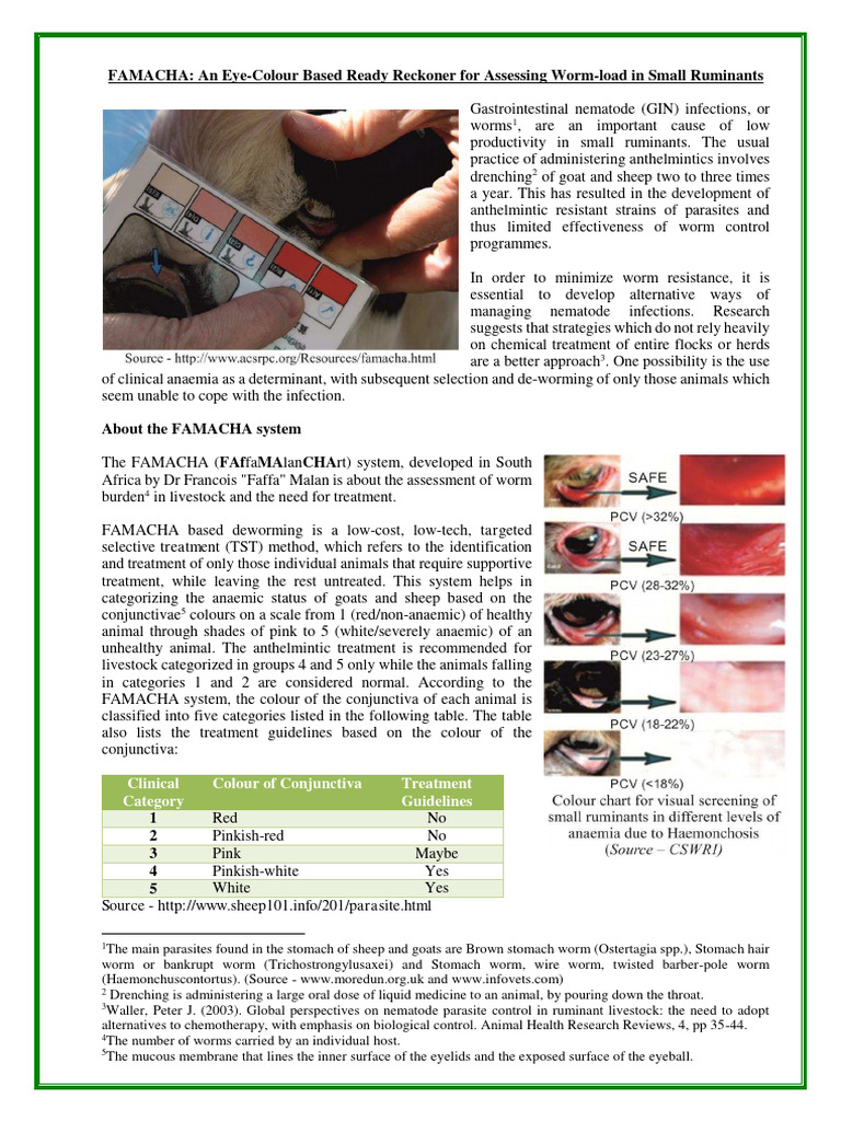 FAMACHA An Eye Colour Based Ready Reckon | PDF | Sheep | Parasitism