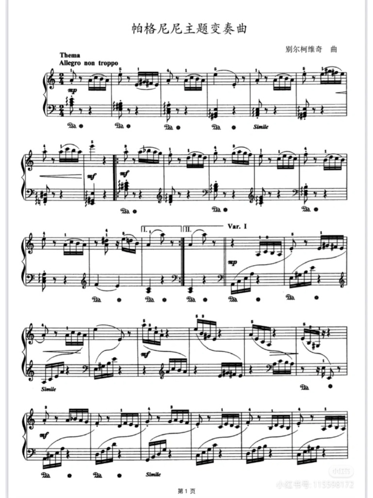 Berkovich Variations On A Theme by Paganini | PDF
