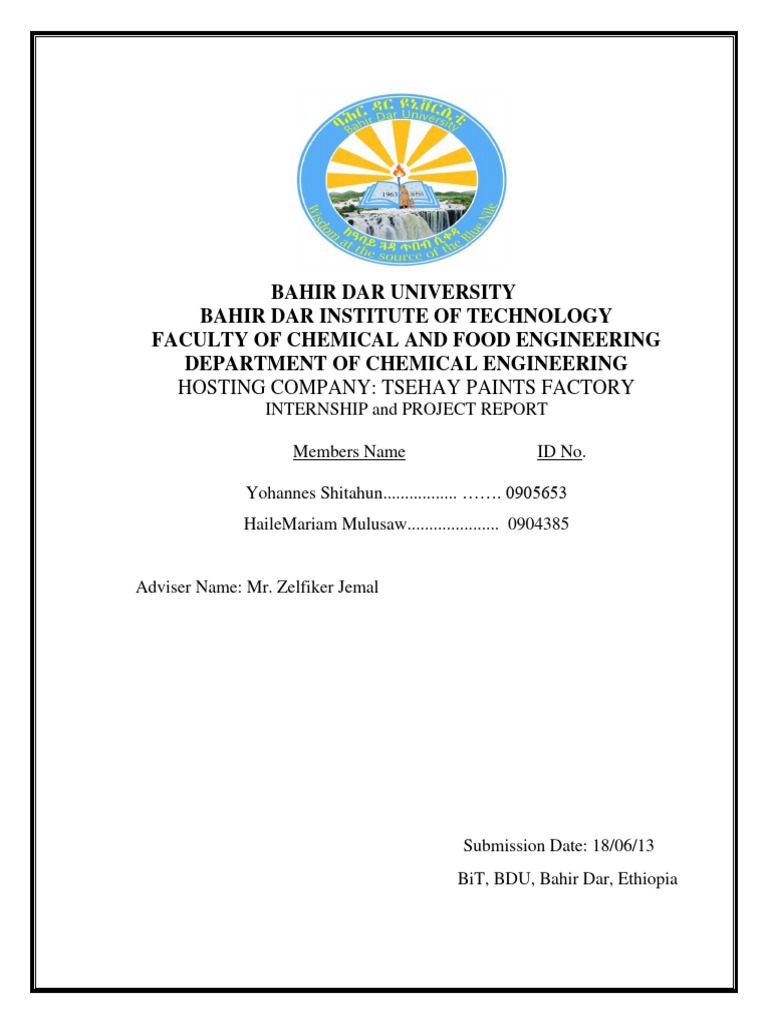 BAHIR_DAR_UNIVERSITY_BAHIR_DAR_INSTITUTE | PDF | Paint | Pigment