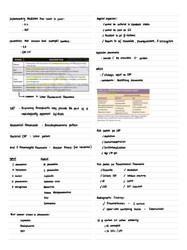 IM Pneumonia Harrisons and CPG Notes | PDF | Pneumonia | Respiratory ...