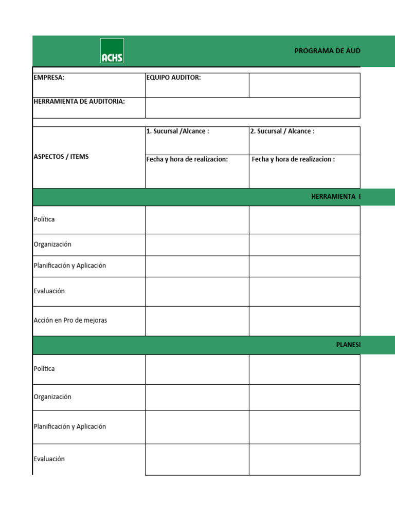 Programa de Auditorías SGSST OIT | PDF | Auditoría | Gestión de riesgos