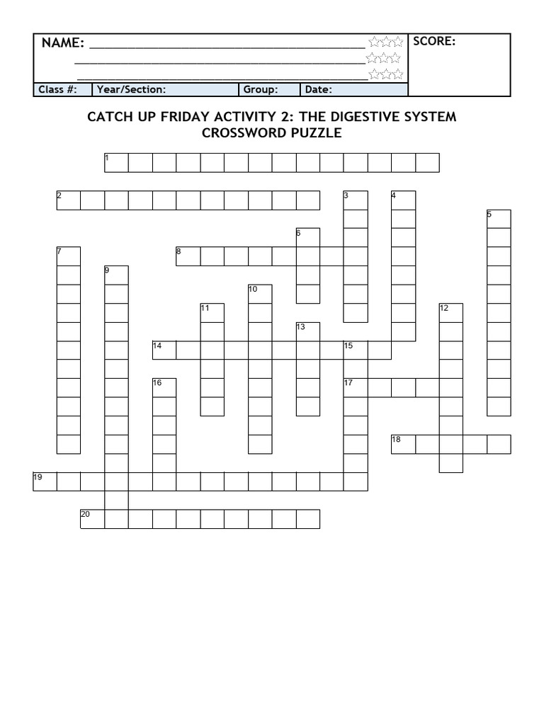 Digestive System Crossword Puzzle | PDF | Gastrointestinal Tract ...