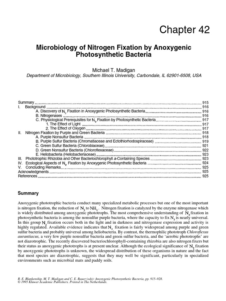 Microbiology of Nitrogen Fixation by Anoxygenic Photosynthetic B | PDF ...