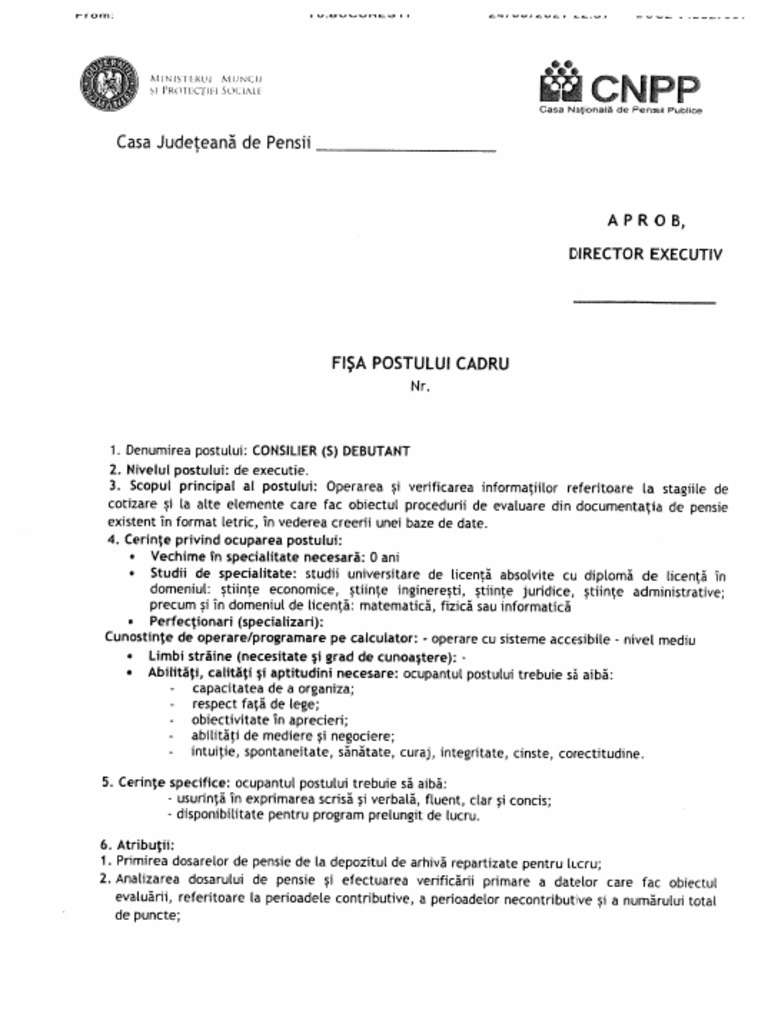 Fisa Consilier Debutant | PDF