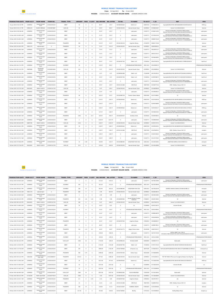 Momo Statement Report | PDF | Money | Corporate Jargon