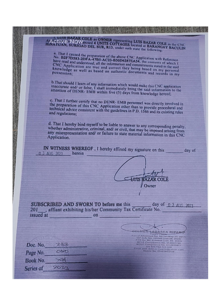 Notarized Accountability Statement | PDF