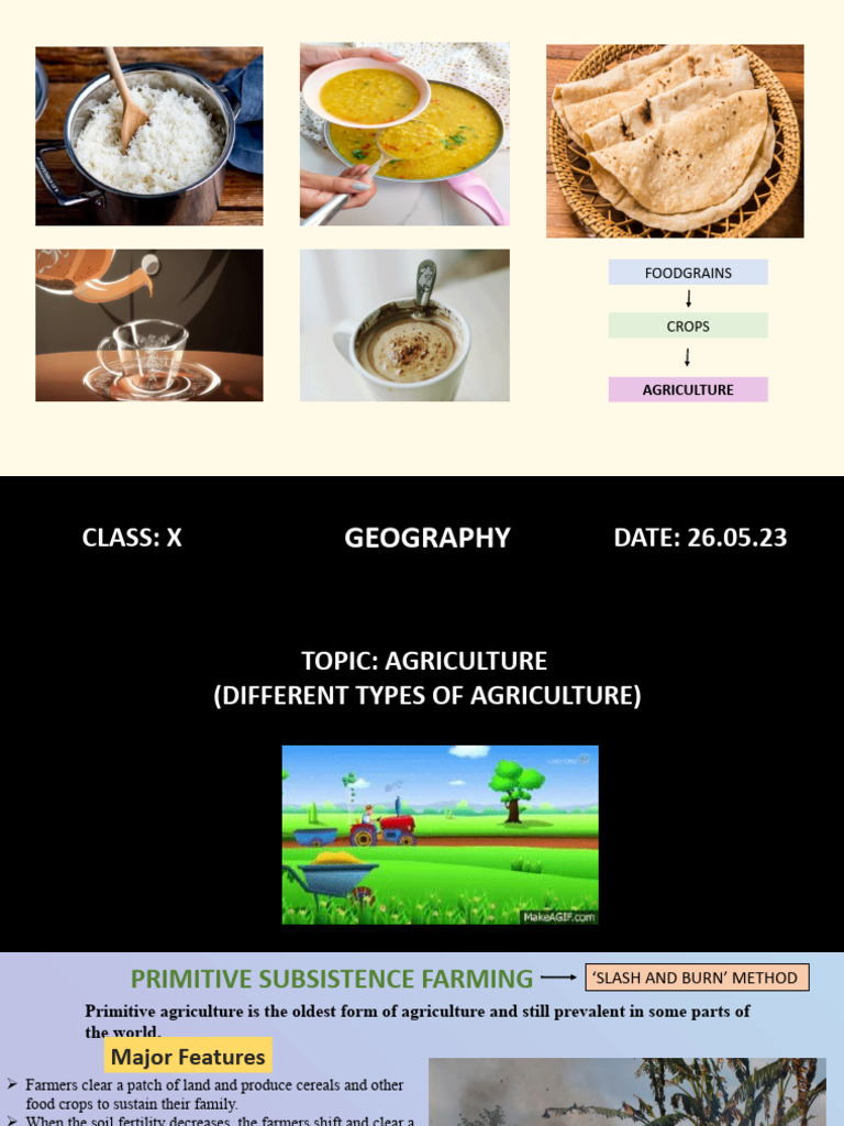 Demo | Download Free PDF | Agriculture | Intensive Farming