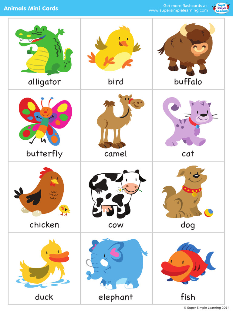 Animal Flashcards for Kids | PDF