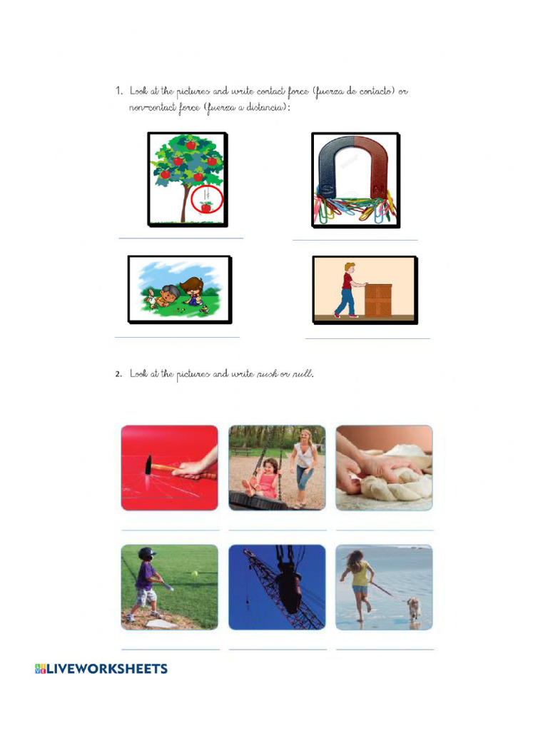 Forces Exercises | PDF