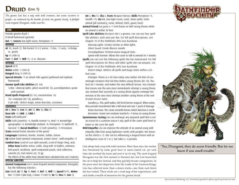 Druid - Level 1 | PDF