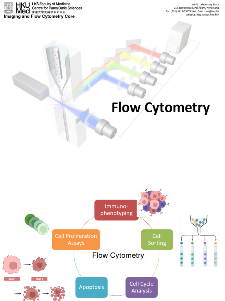 Flow Introduction CHEM 4242 | PDF | Flow Cytometry | Cytometry