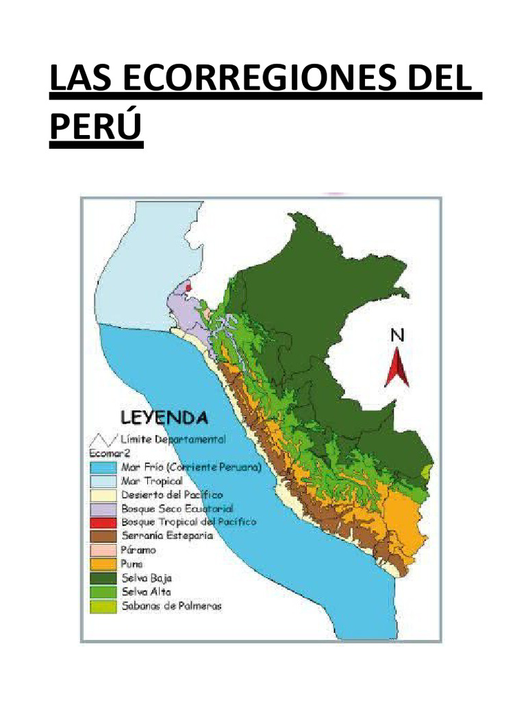 Las Ecorregiones Del Perú para Sexto Grado de Primaria | PDF | Selva ...