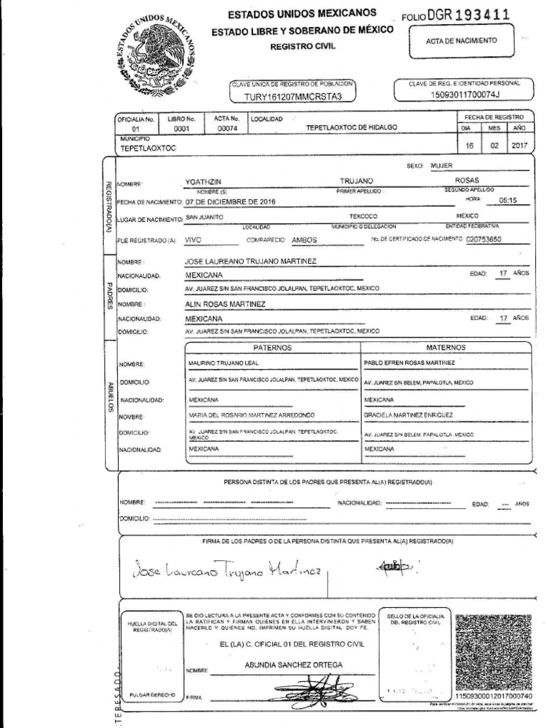 Alin Primaria Yoa | PDF