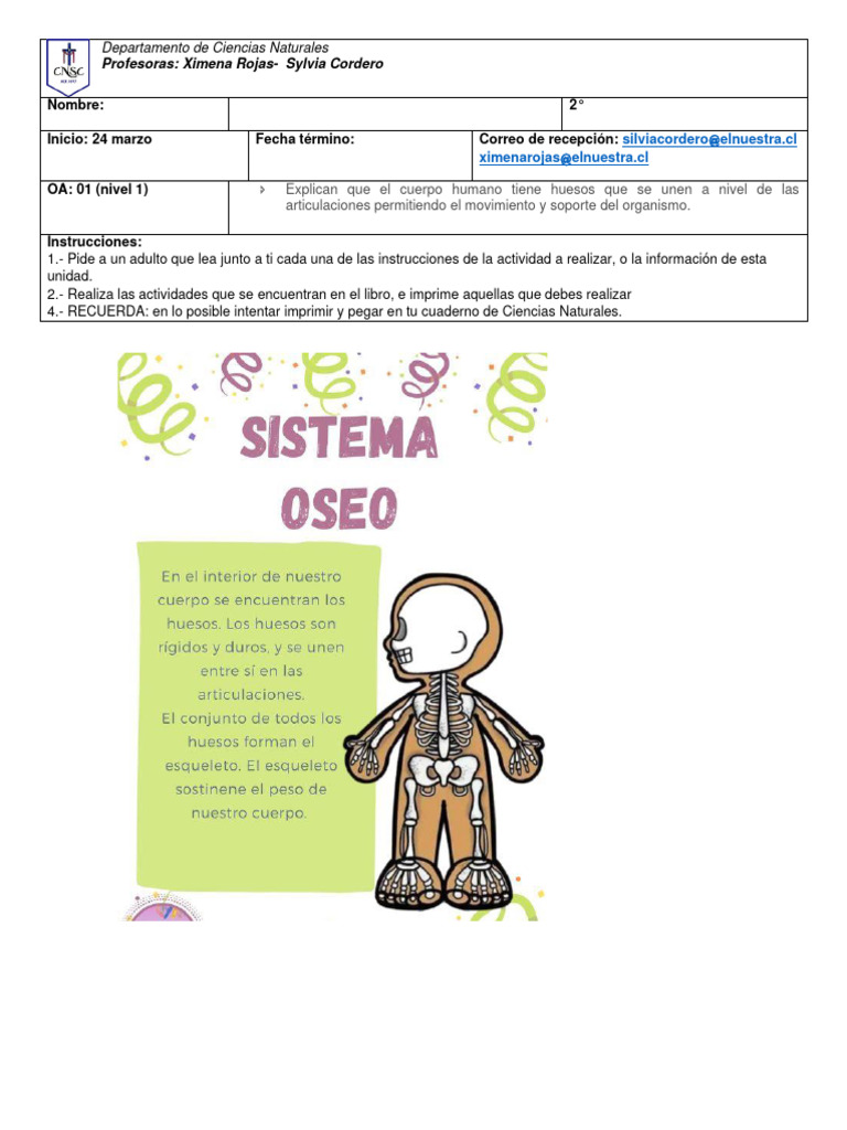Cs - Naturales - Guía Nº5 El Esqueleto | PDF | Sistema musculoesquelético humano | Hueso