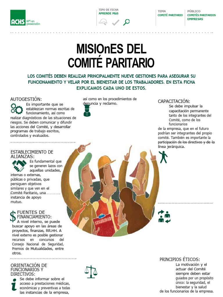 Funciones Clave del Comité Paritario | PDF | Business | Valores