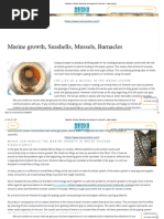 Capgemini Powerpoint Template | PDF