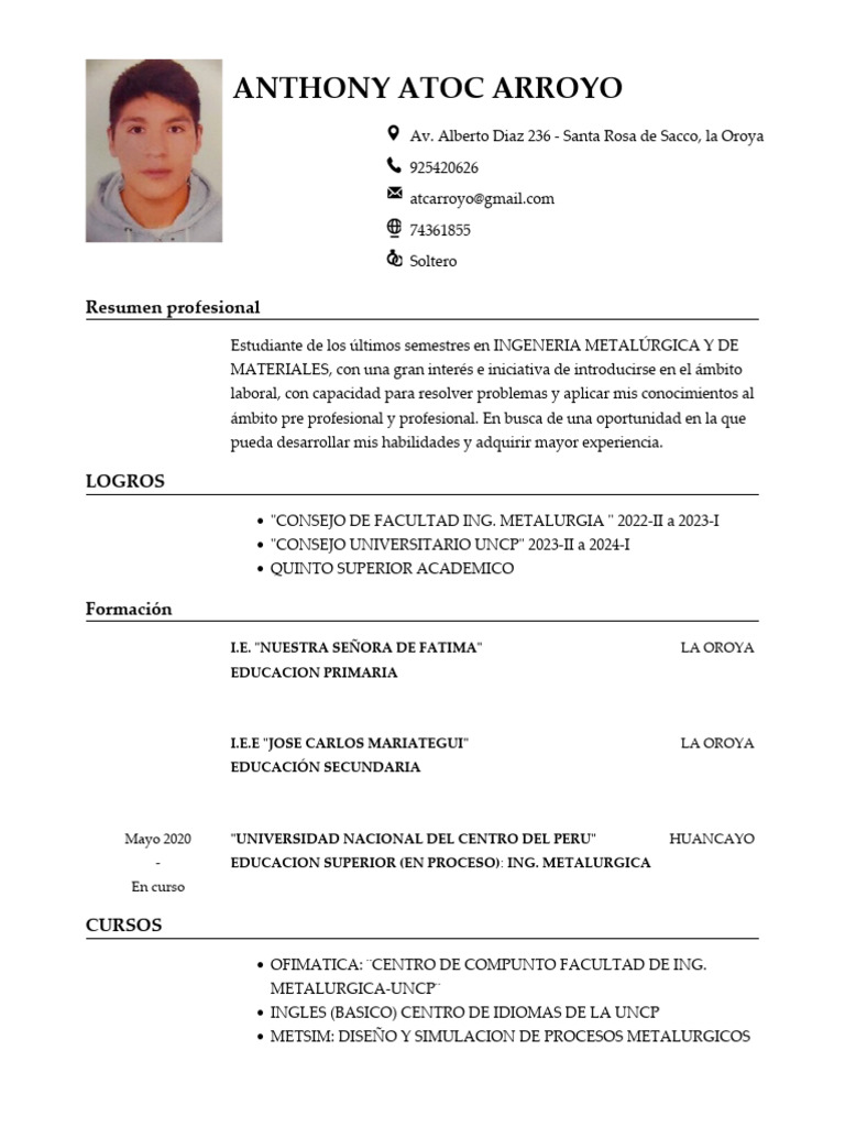 Anthony Atocarroyo CV | PDF | Ingeniería
