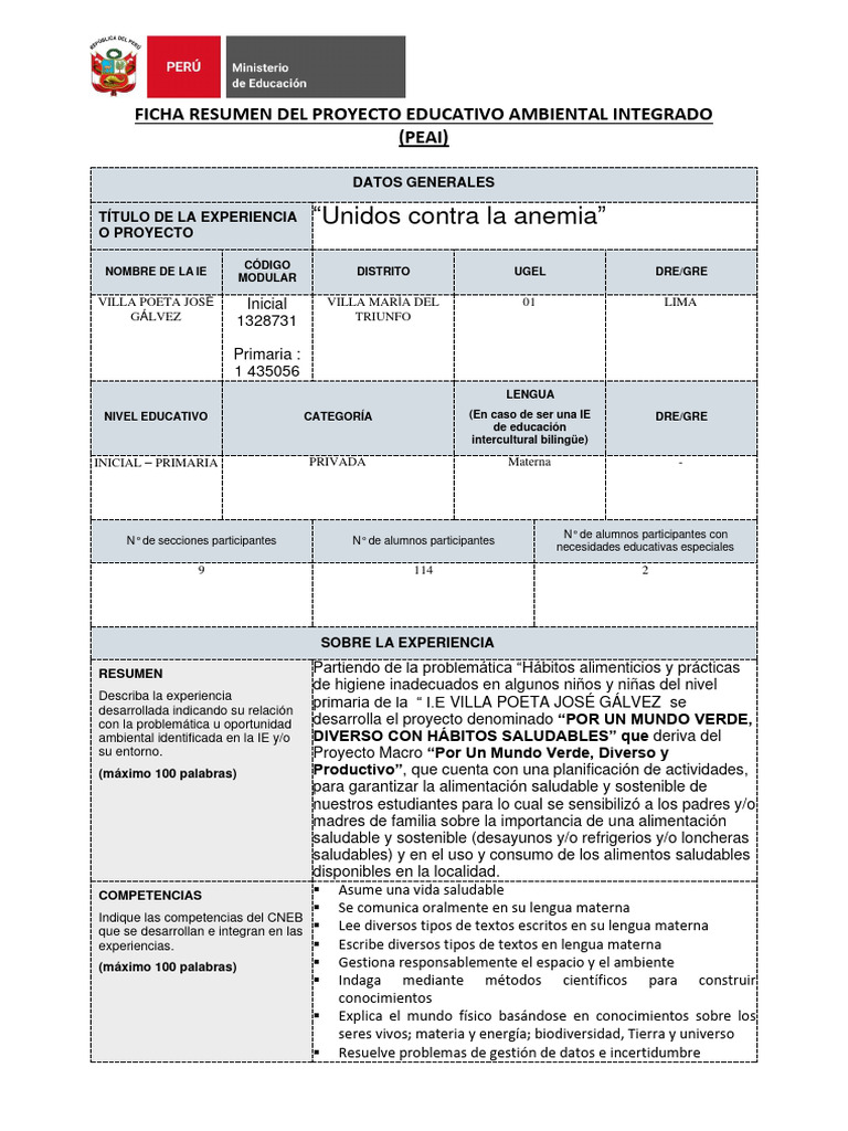 Ficha Resumen Del Proyecto Educativo Ambiental Integrado | PDF | Aprendizaje | Plan de estudios
