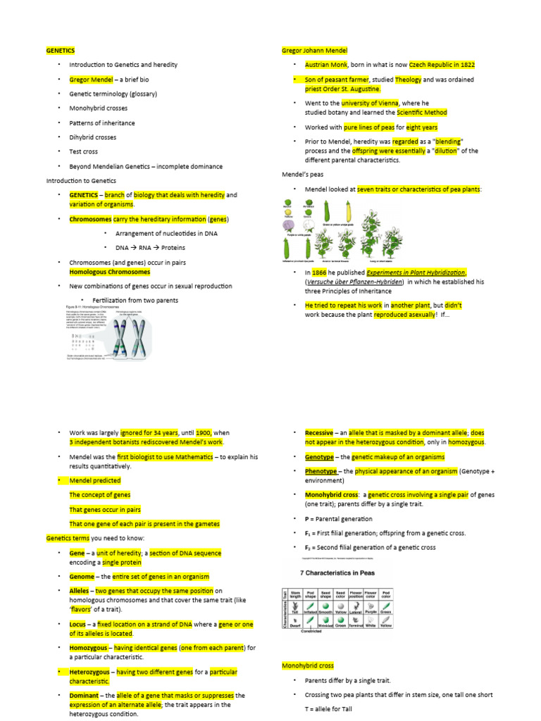 Medelia Non Medelia Reviewer | PDF | Dominance (Genetics) | Genetics