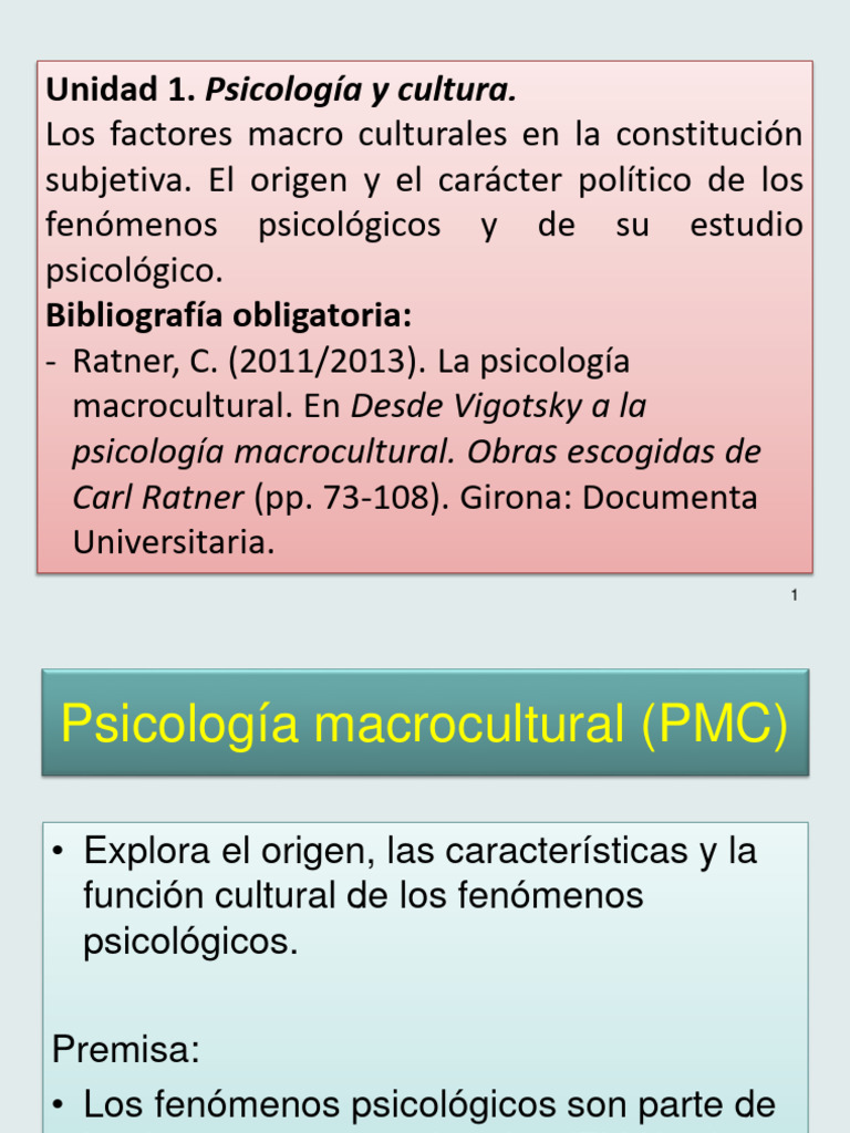 Psicología Macrocultural y Cultura | PDF | Sicología | Experiencia