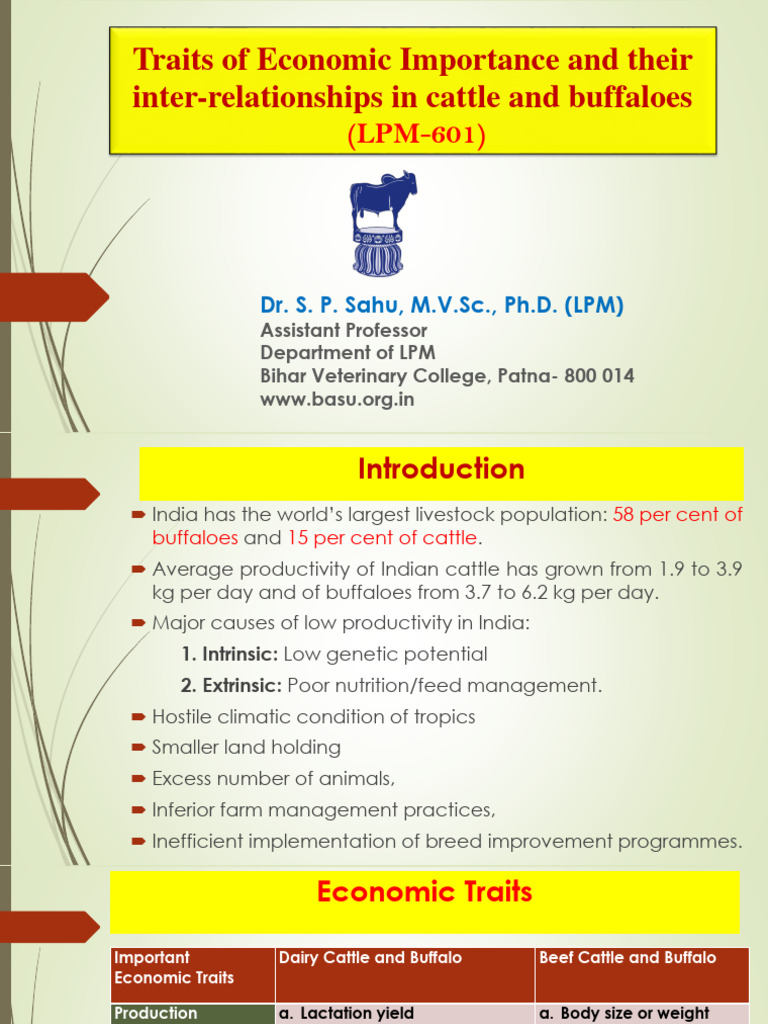 Economic Traits of Cattle and Buffaloes | PDF | Cattle | Dairy Cattle