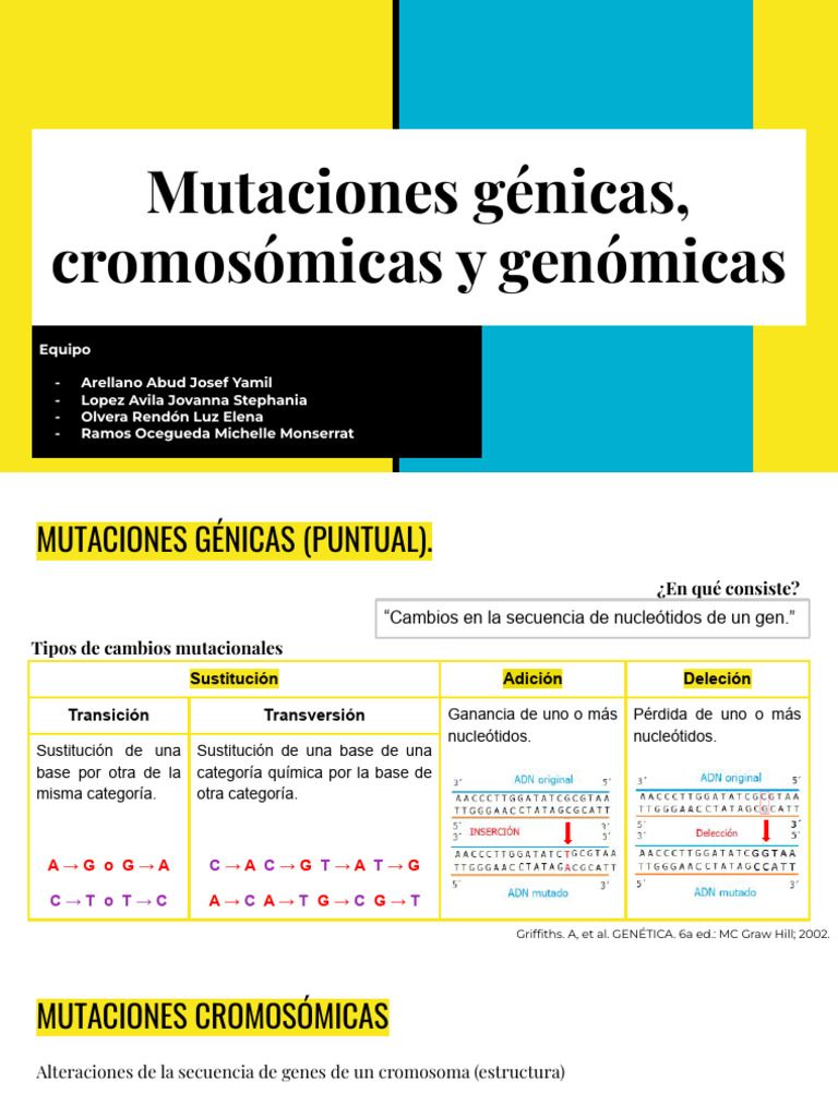 Mutaciones Genéticas | PDF | Mutación | Gene