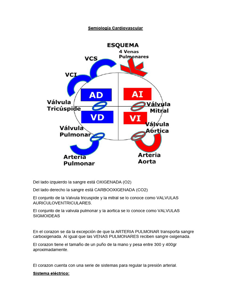 Guía de Semiología Cardiovascular | PDF | Electrocardiografia | Corazón