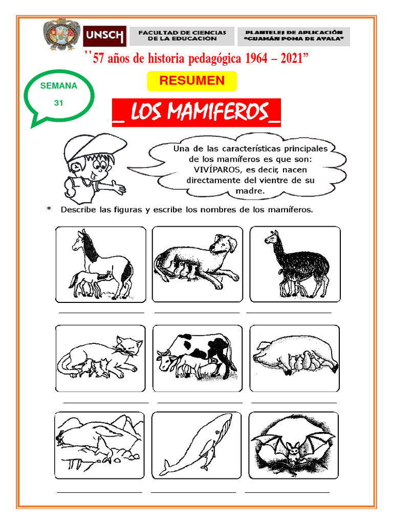 Animales Mamiferos | PDF | Relaciones personales, crianza y desarrollo ...