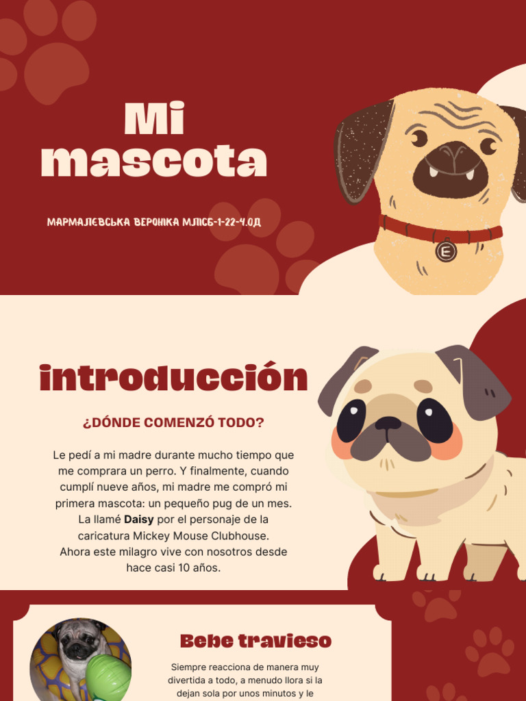 Mi Mascota | PDF