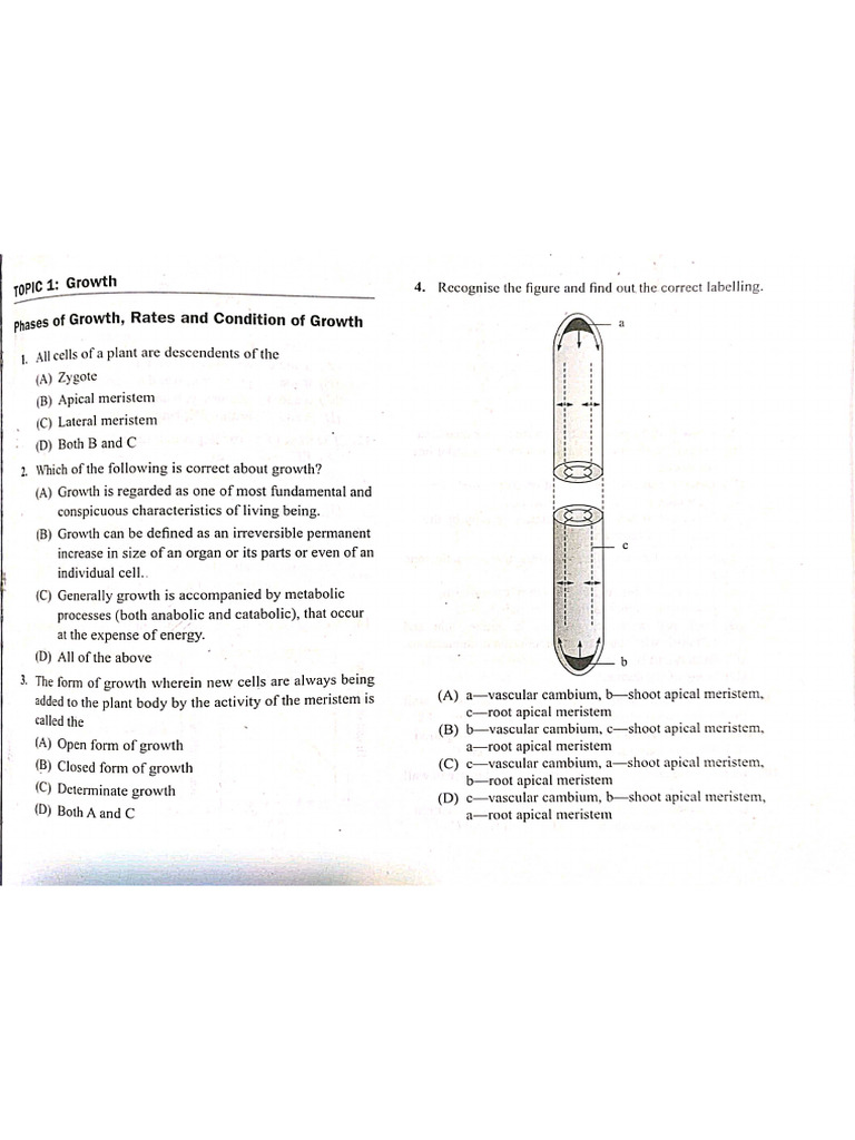 Plant Growth and Development (Questions) | PDF