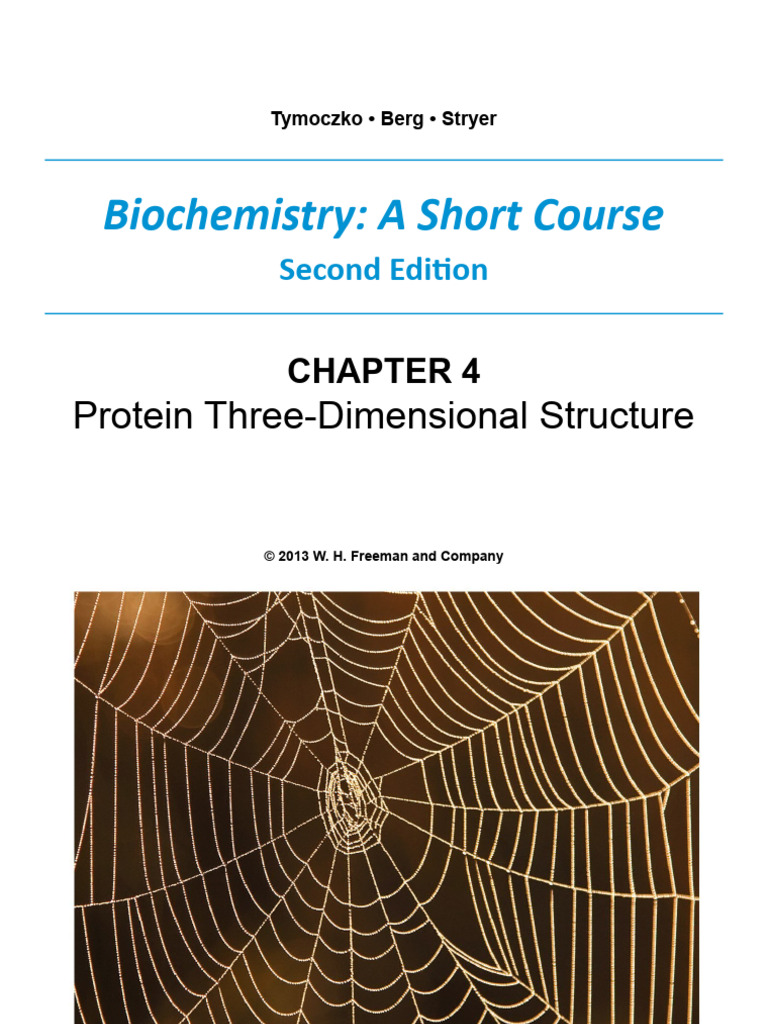 Chapter 4 Lecture Ppts | PDF | Beta Sheet | Protein Structure