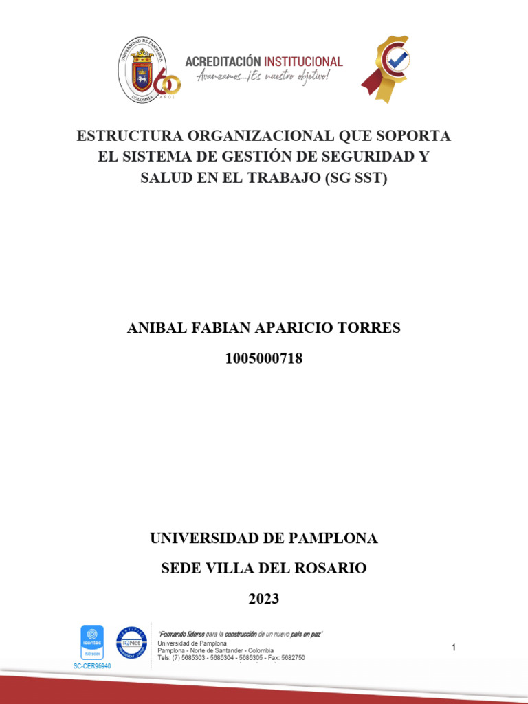 Estructura del SG-SST en Unipamplona | PDF | Seguridad y salud ocupacional | Valores