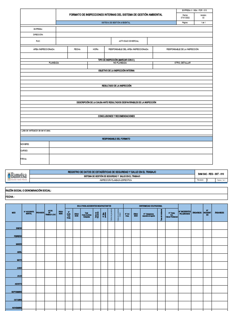 EMPRESA X - SGA - For - 015 Formato de Inspecciones Internas Del SGA | PDF