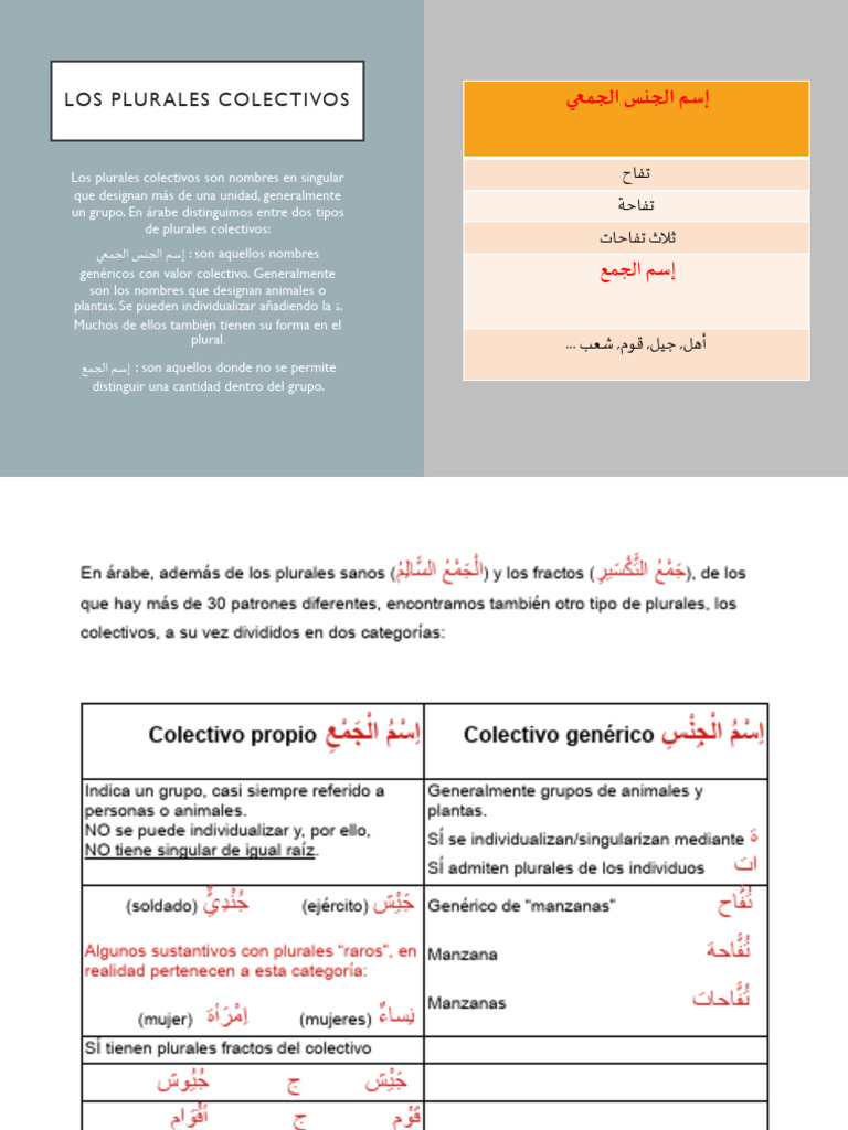 L20 Resumen | PDF | Verbo | Sustantivo