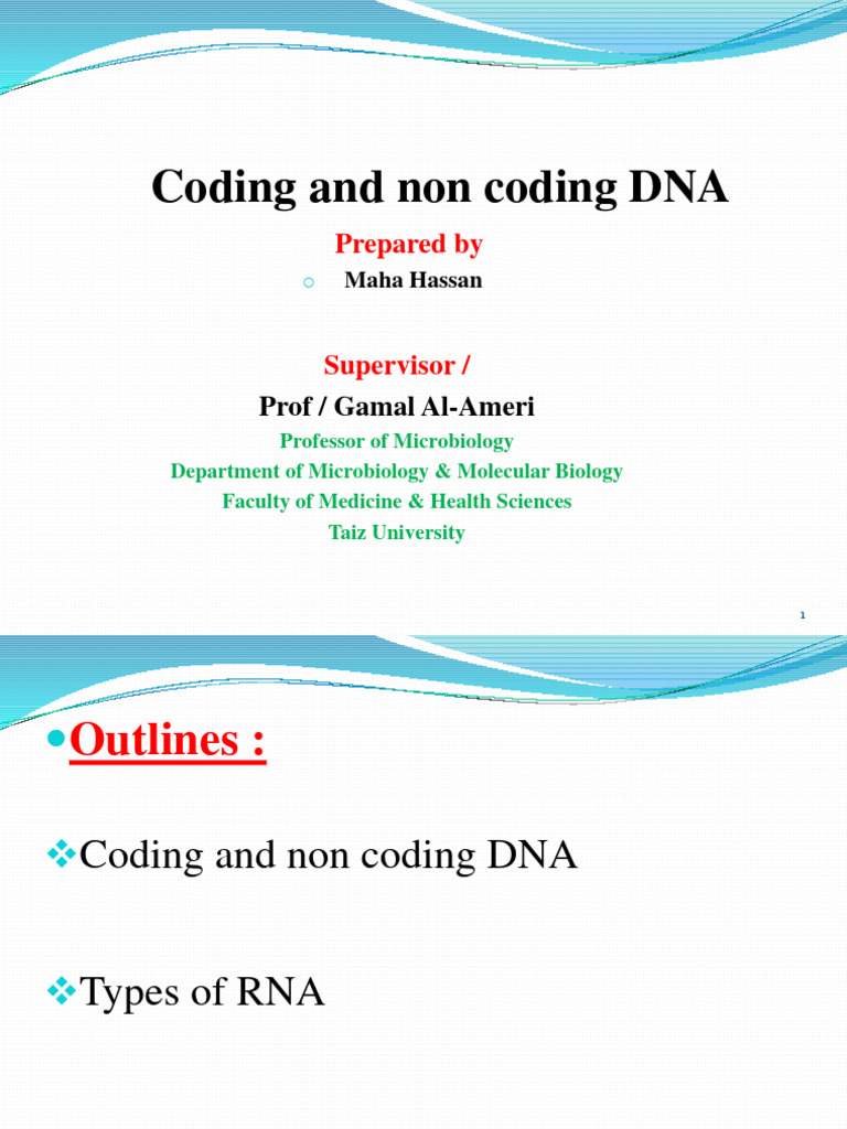 Coding Andnon Coding Dna Pdf Gene Rna