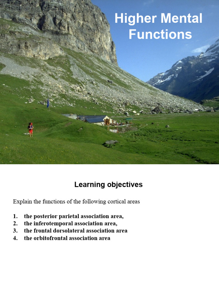 Higher Mental Functions (GEP) 2019c | PDF | Visual Cortex | Parietal Lobe