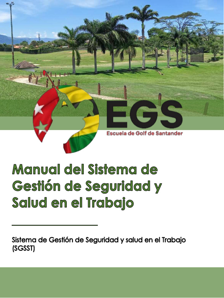Manual Del Sistema de Gestion de SST | Descargar gratis PDF | Seguridad y salud ocupacional | La ...